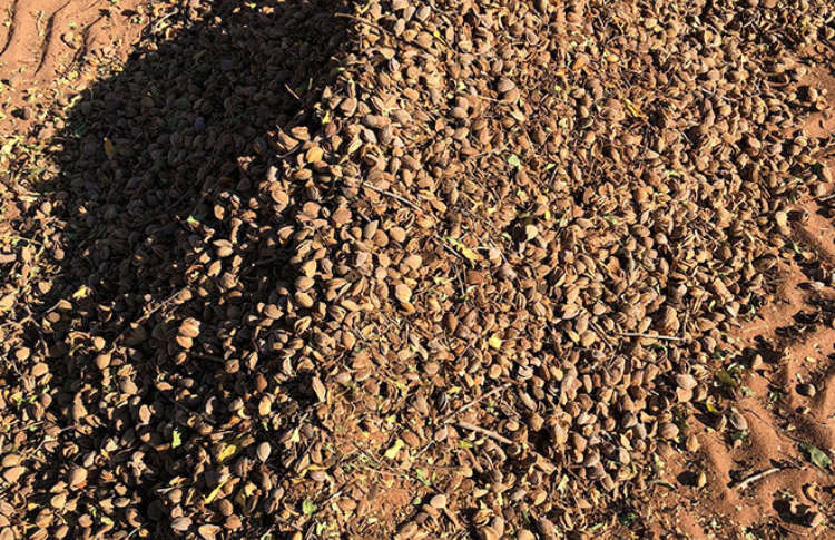 Stone Picking | Jetco Engineering